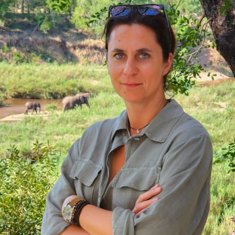 Home | African Trackers