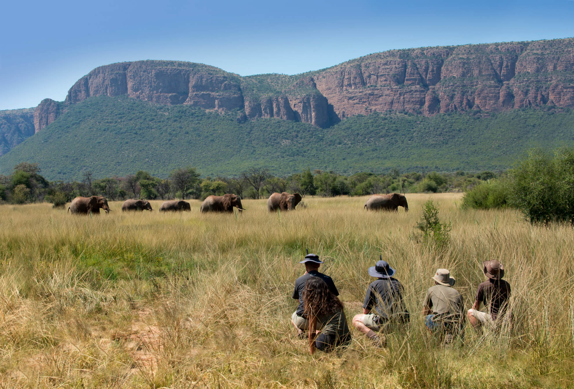 Marataba Safari Lodge | African Trackers